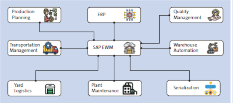 SAP EWM: Basic or Advanced? Helping client decide